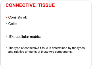 HISTOLOGY OF CONNECTIVE TISSUE IN ANATOMY | PPTX