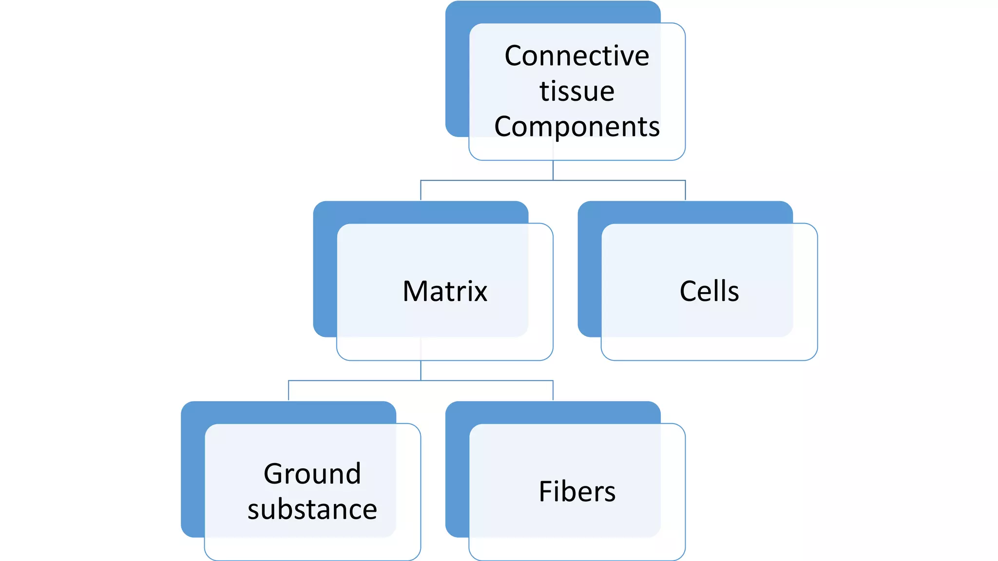 Connective tissue | PPTX