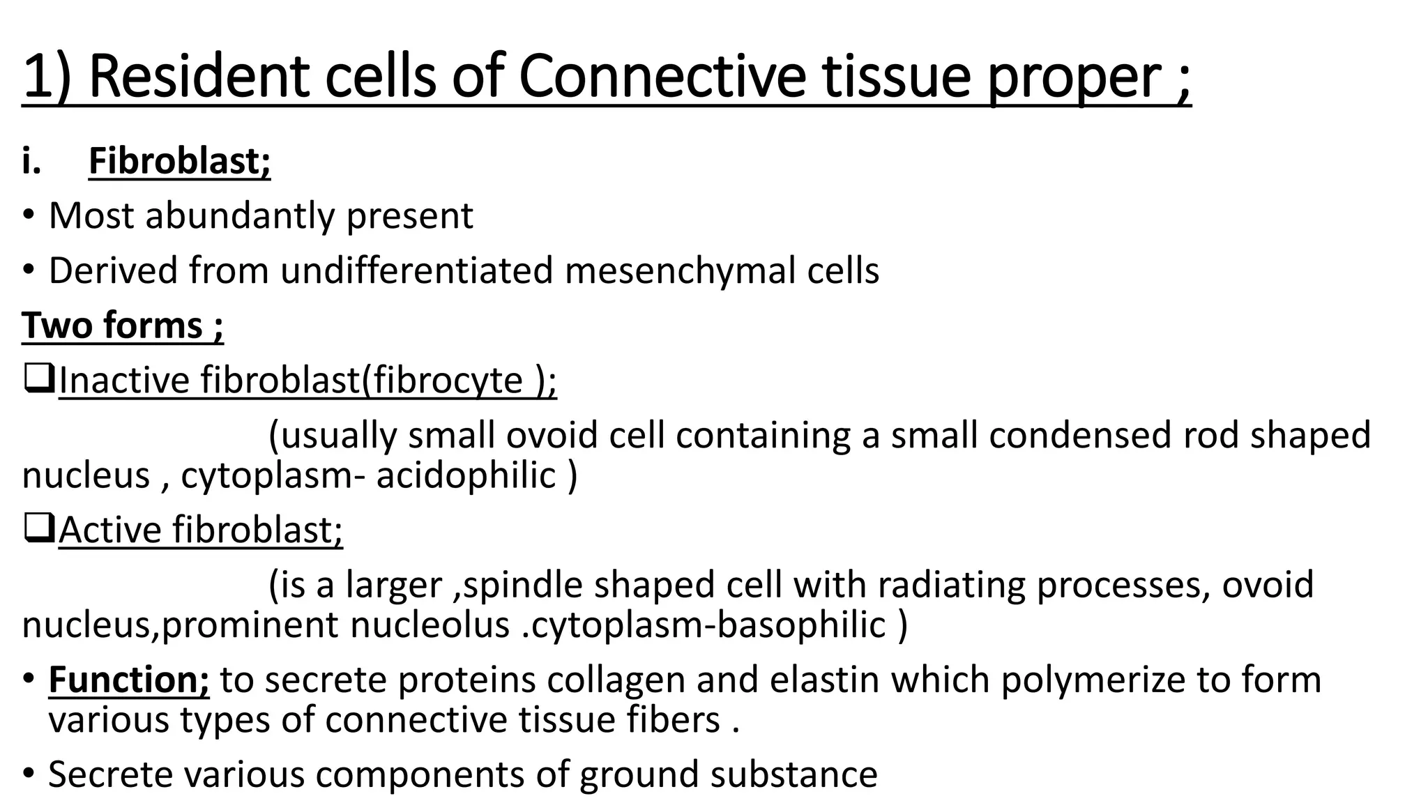 Connective tissue | PPTX