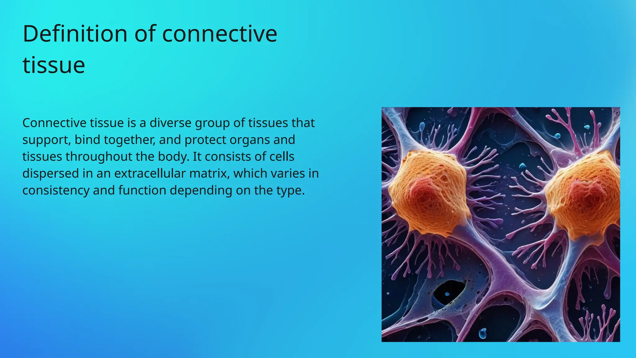 Connective Tissue Biochemistry.pptxpa pathophysiology | PPTX