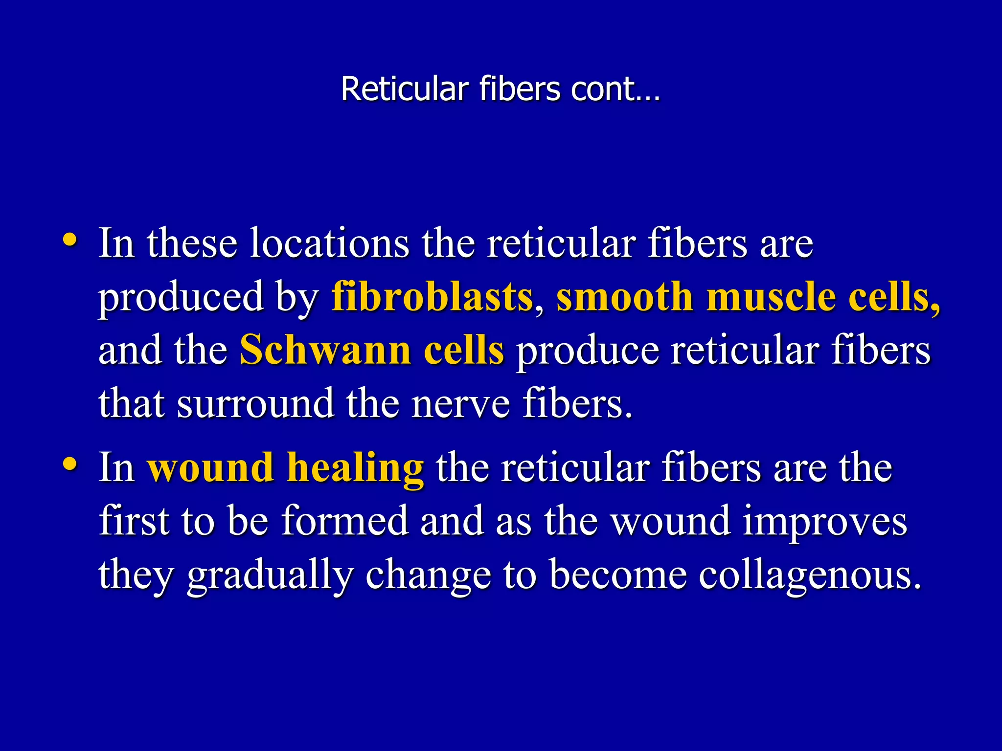 CONNECTIVE TISSUE BRS;C.ppt