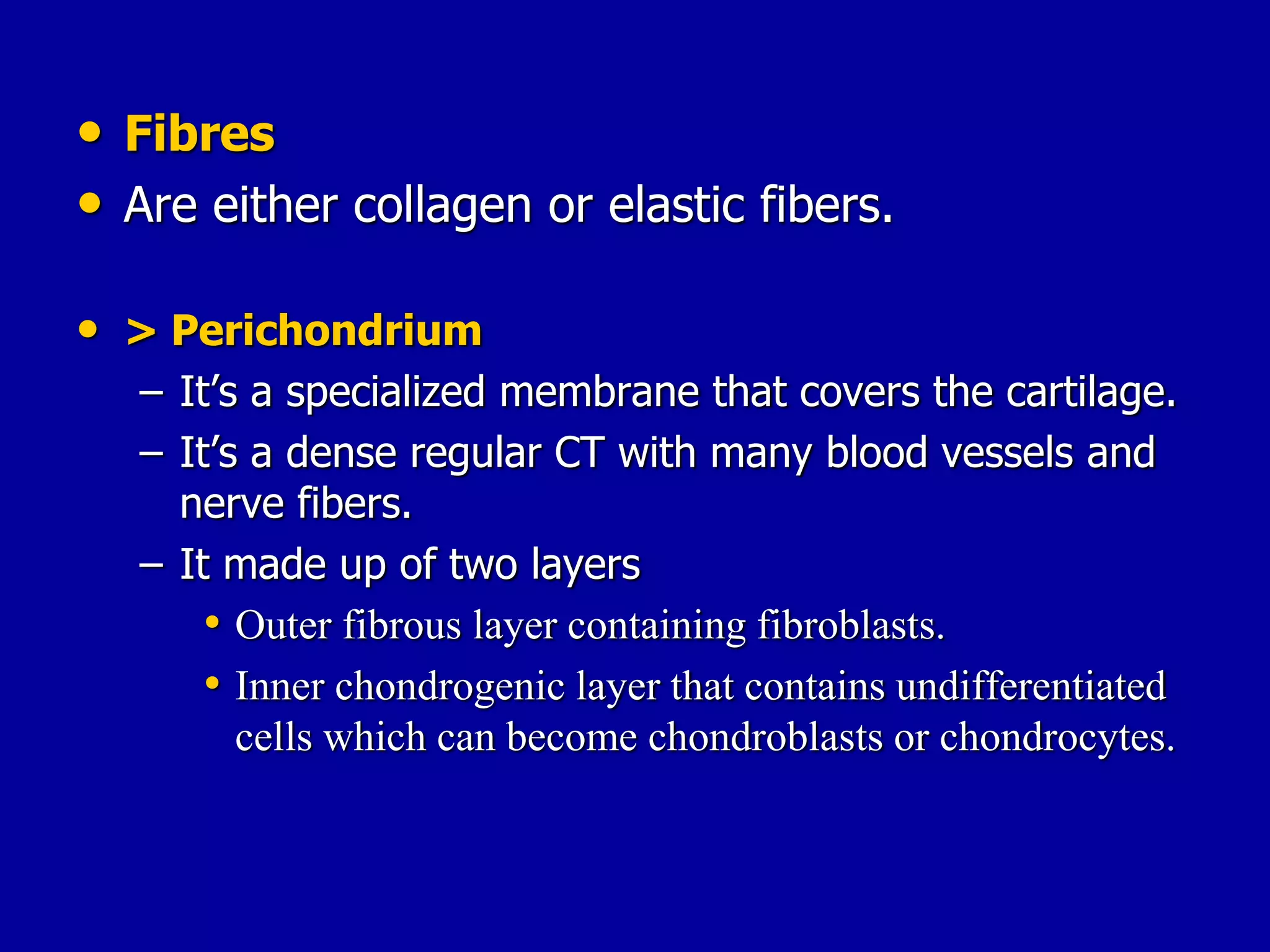 CONNECTIVE TISSUE BRS;C.ppt