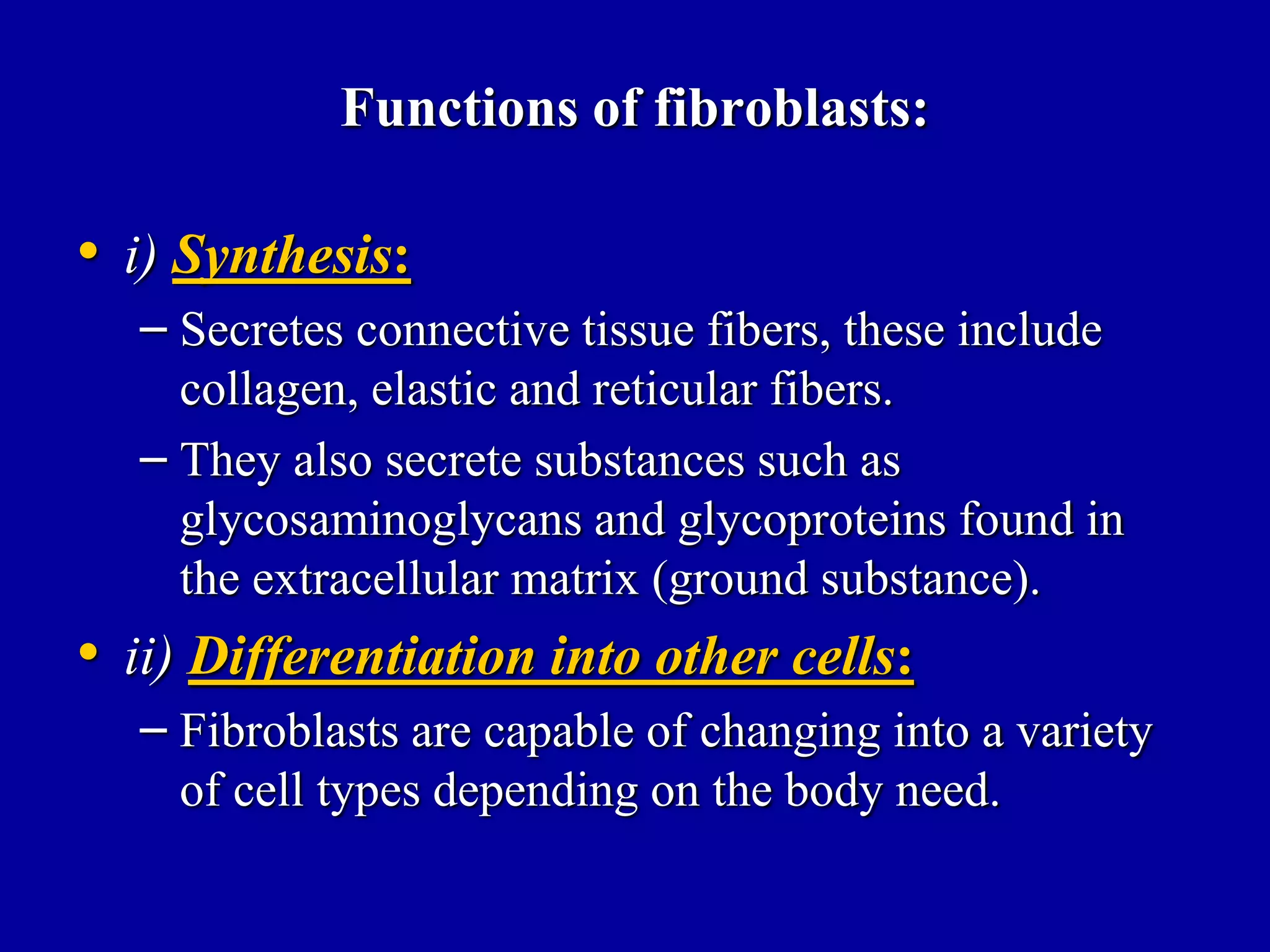 CONNECTIVE TISSUE BRS;C.ppt