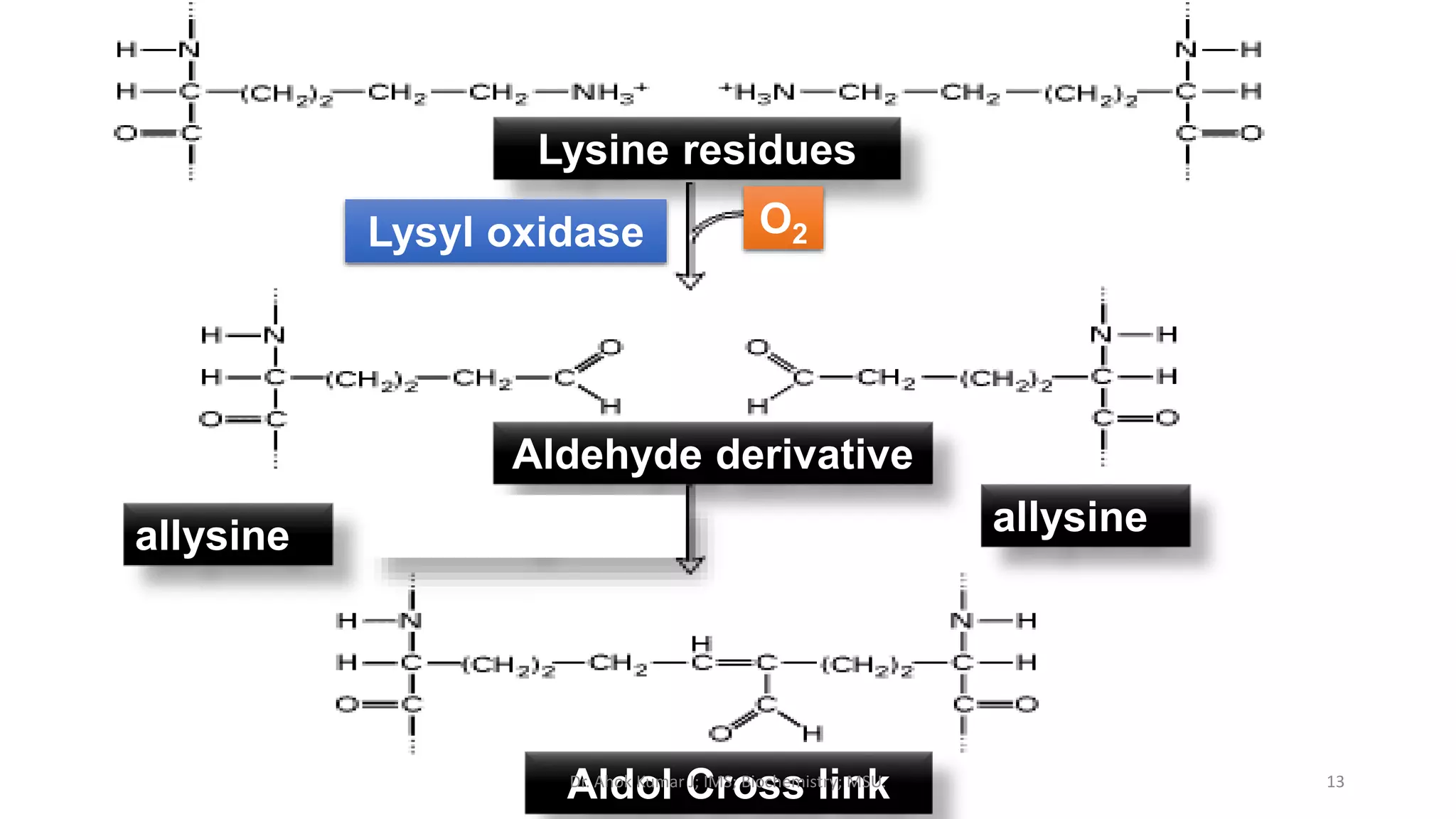 Connective tissue disorders by Dr Ashok Kumar J | PPTX