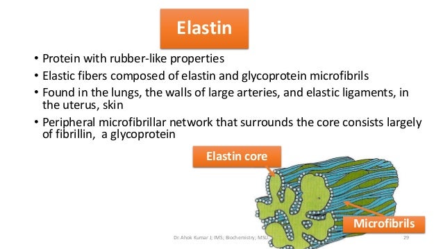 Connective tissue disorders by Dr Ashok Kumar J