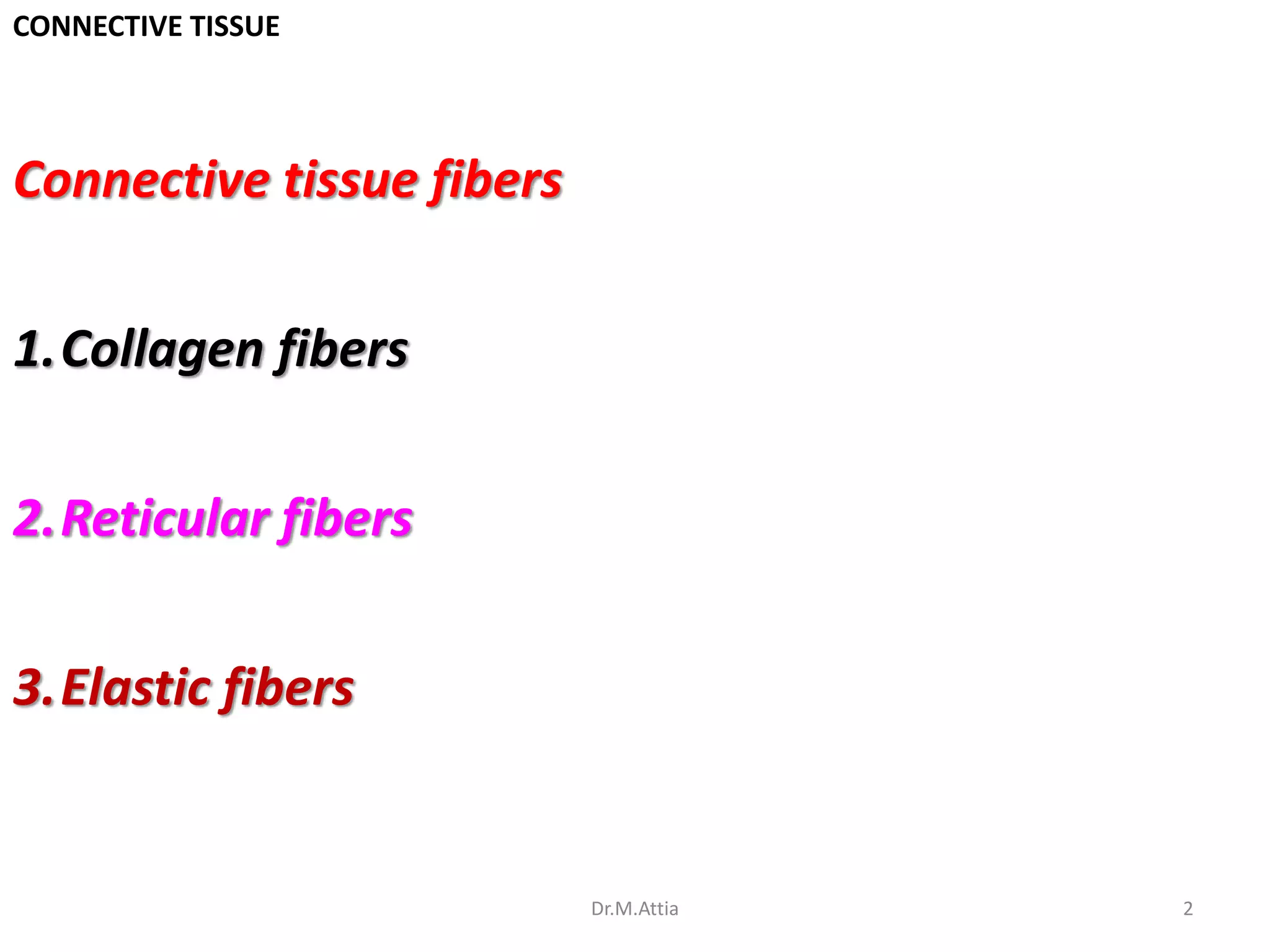 Connective Tissue Fibers Histology | PPTX