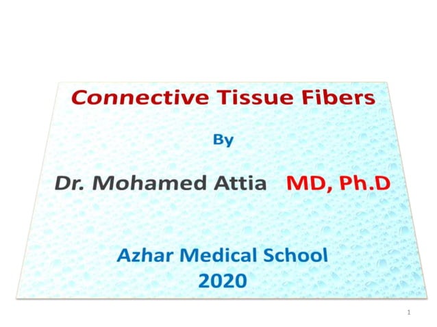 Connective Tissue Fibers Histology Ppt Free Download