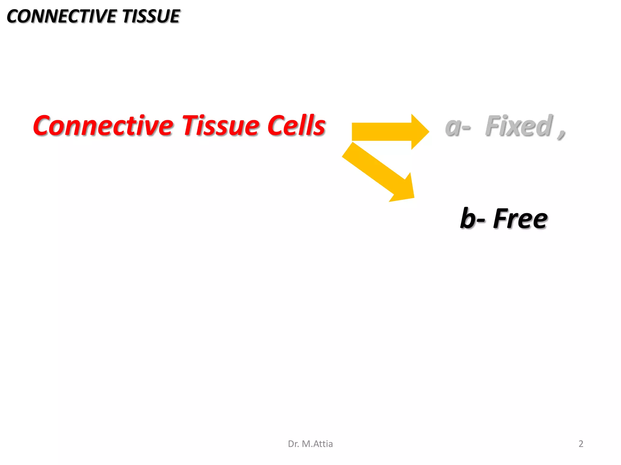 Connective Tissue Free Cells Histology | PPTX
