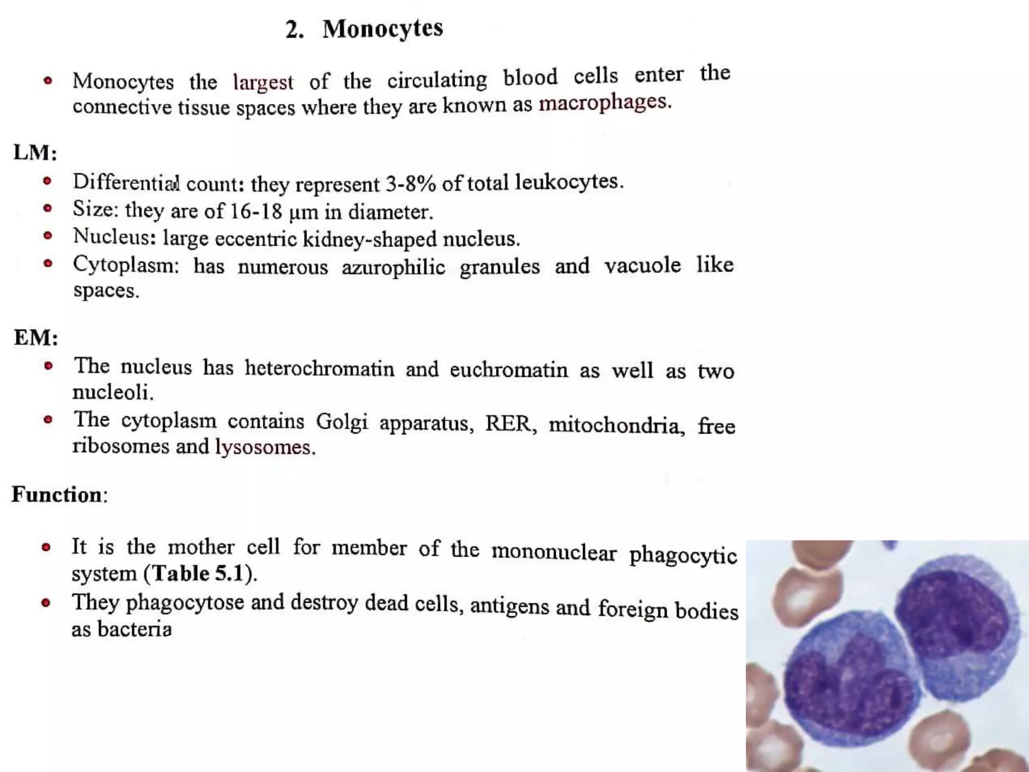 Connective Tissue Free Cells Histology | PPTX