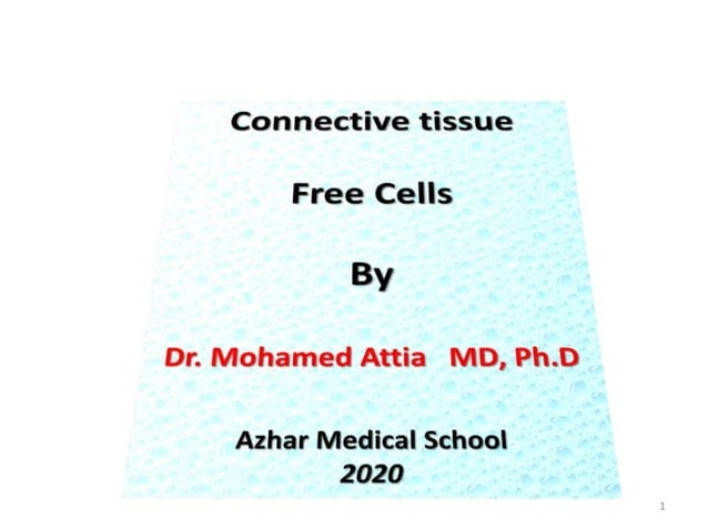 Connective Tissue Free Cells Histology | PPTX | Biological Sciences ...