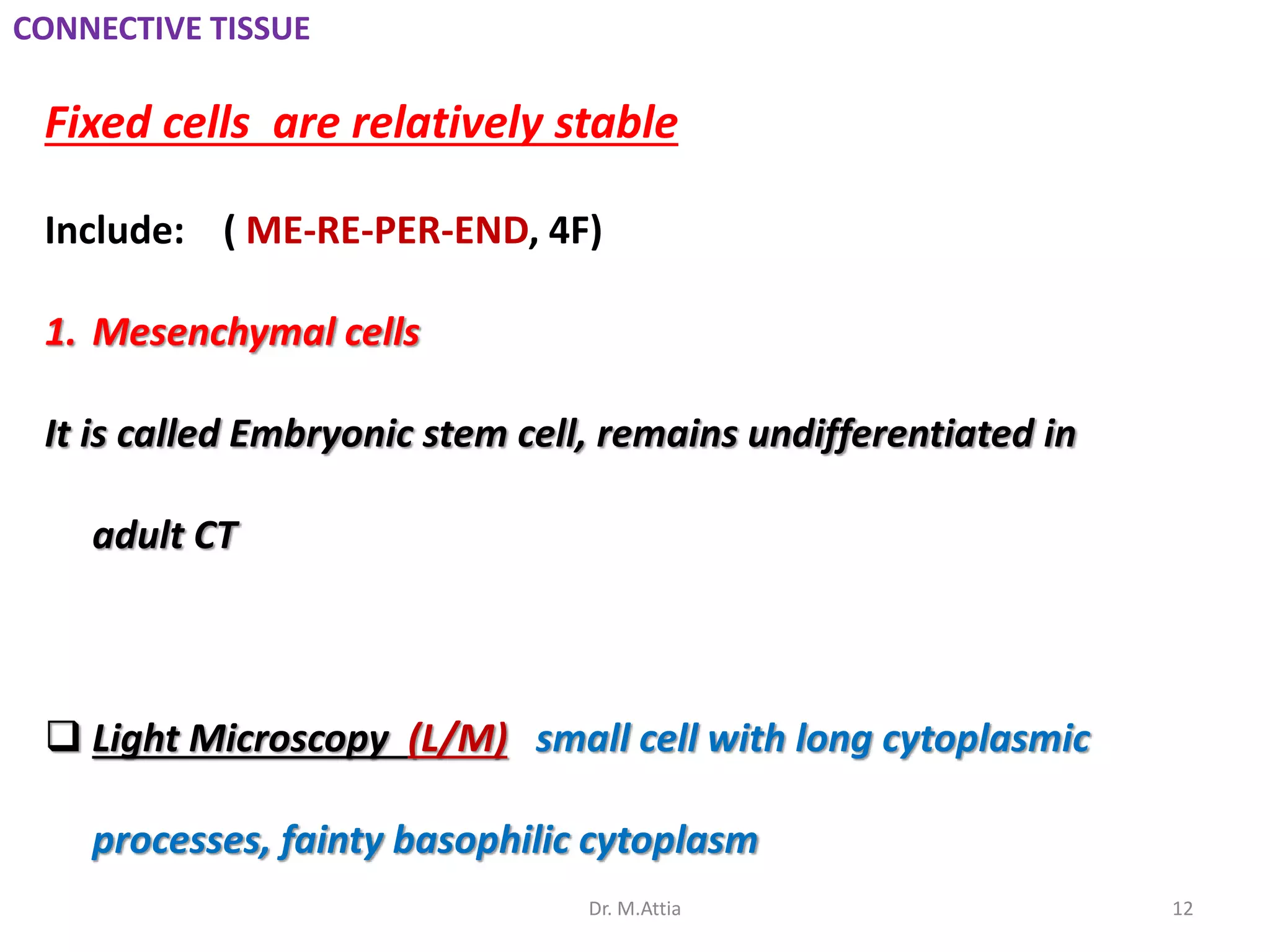 Connective Tissue Fixed Cells Histology | PPTX