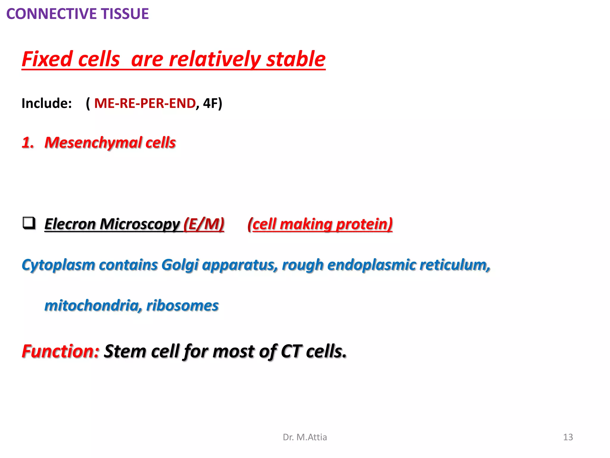 Connective Tissue Fixed Cells Histology | PPTX