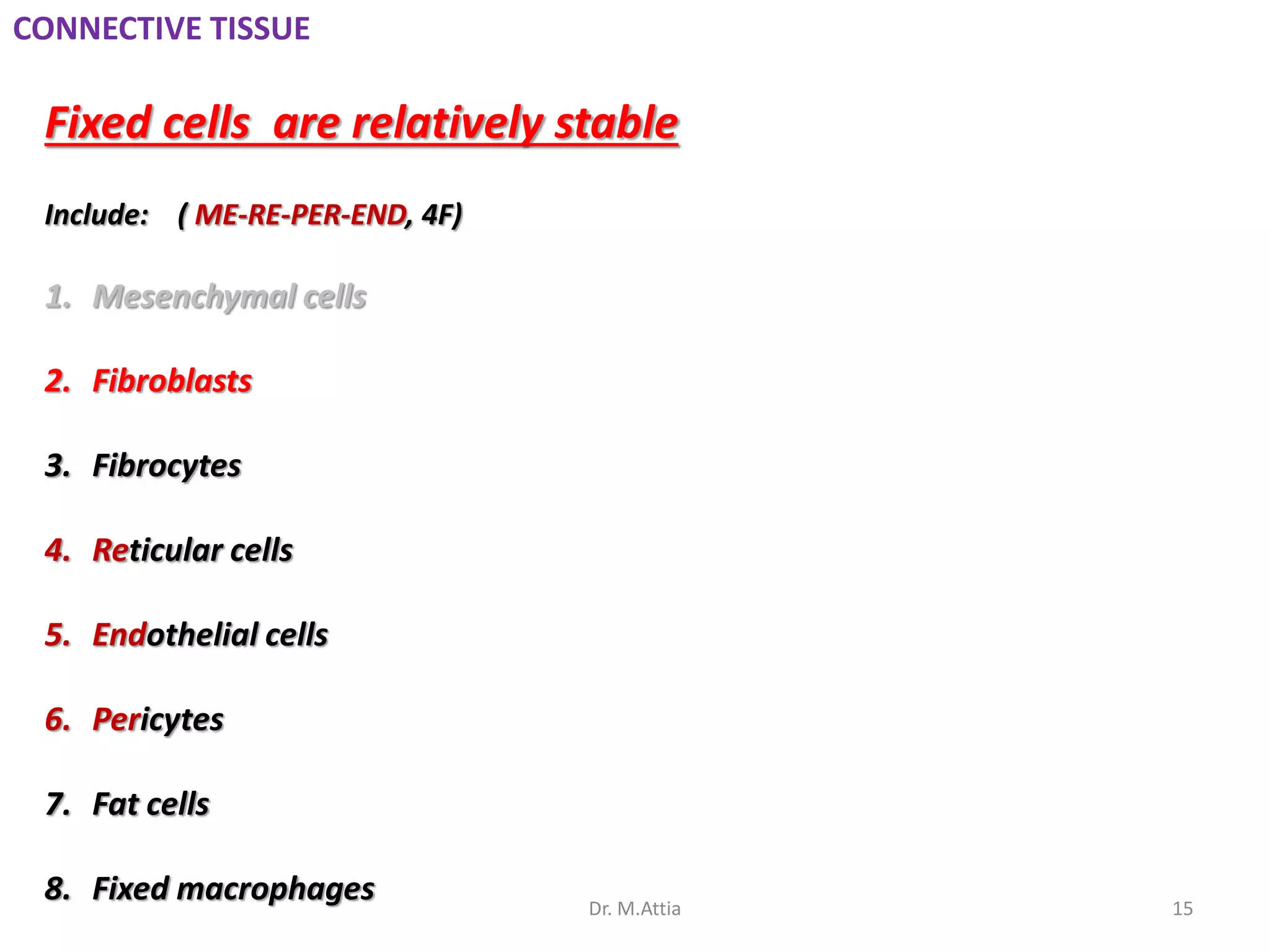 Connective Tissue Fixed Cells Histology | PPTX