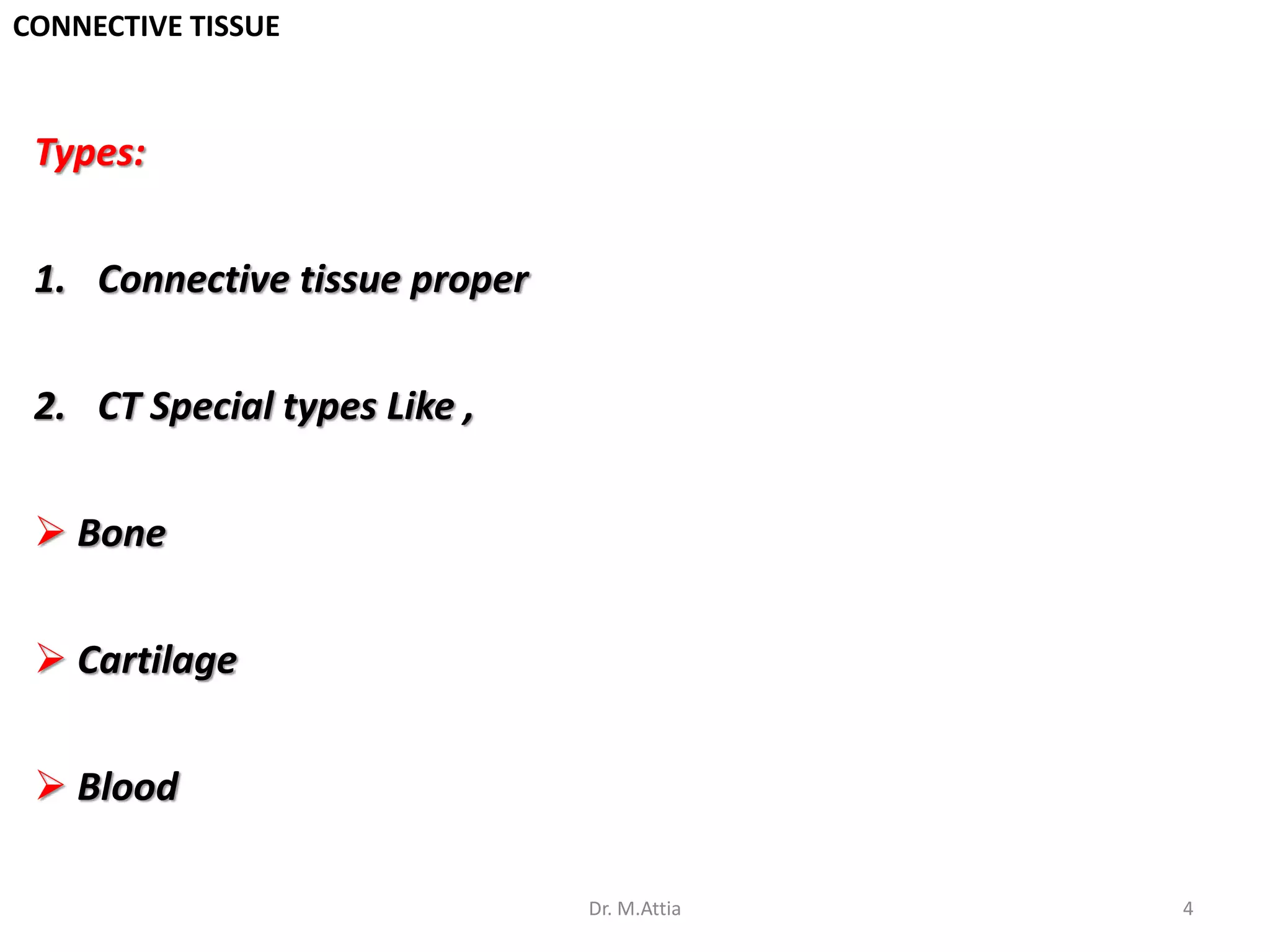Connective Tissue Fixed Cells Histology | PPTX