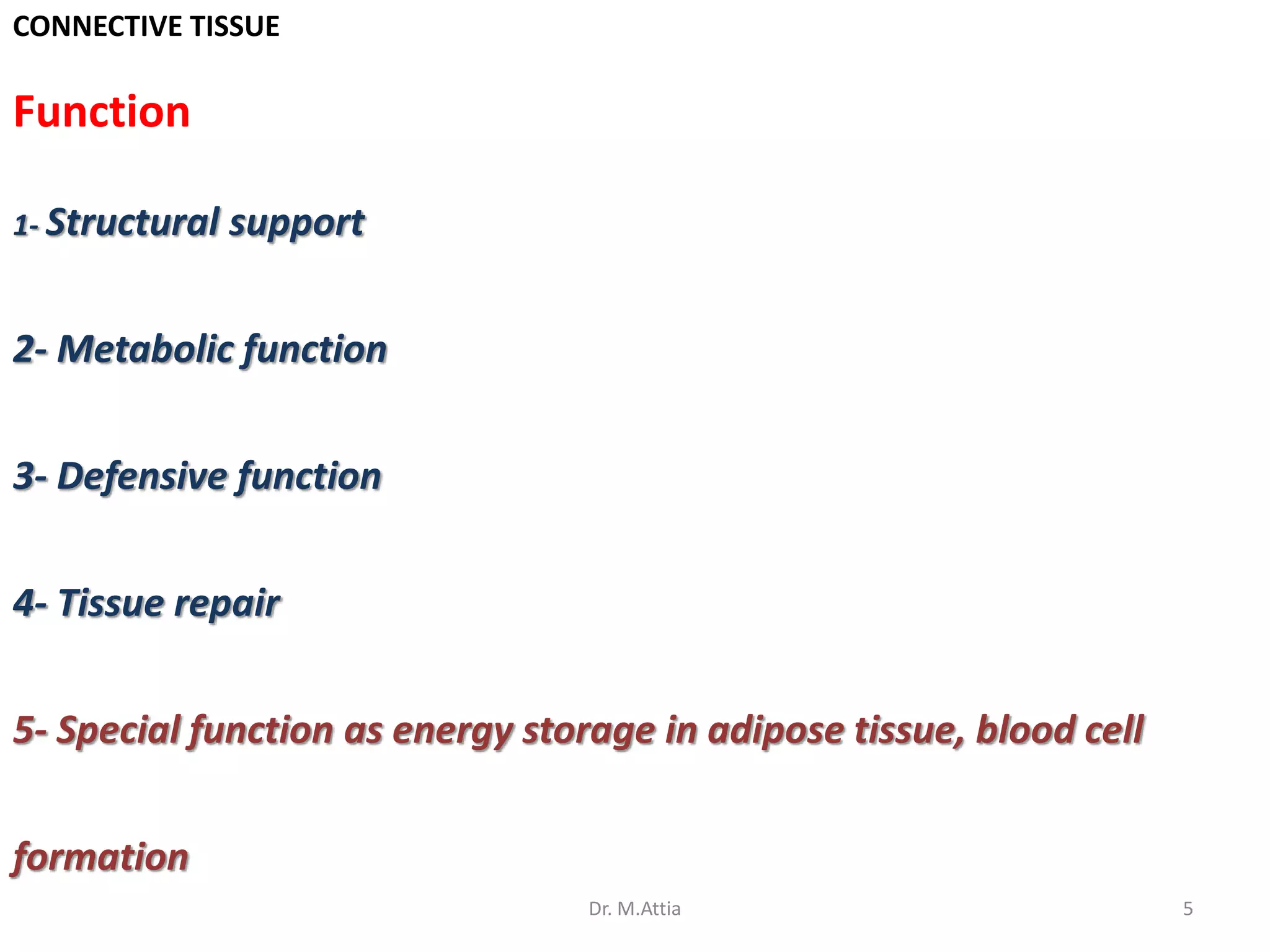 Connective Tissue Fixed Cells Histology | PPTX