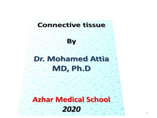 Connective Tissue Fixed Cells Histology | PPT