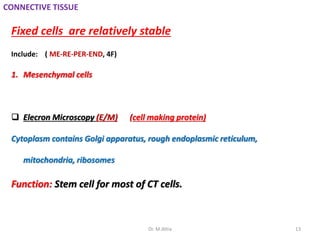 Connective Tissue Fixed Cells Histology | PPTX