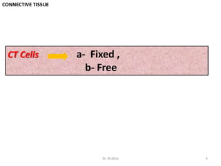 Connective Tissue Fixed Cells Histology | PPTX