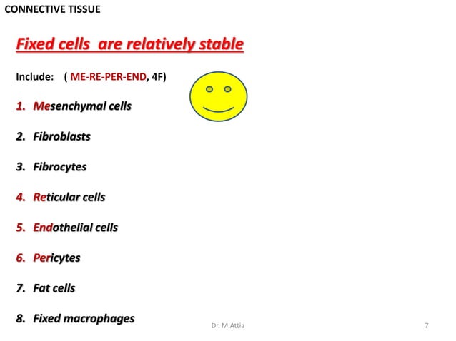Connective Tissue Fixed Cells Histology | PPT