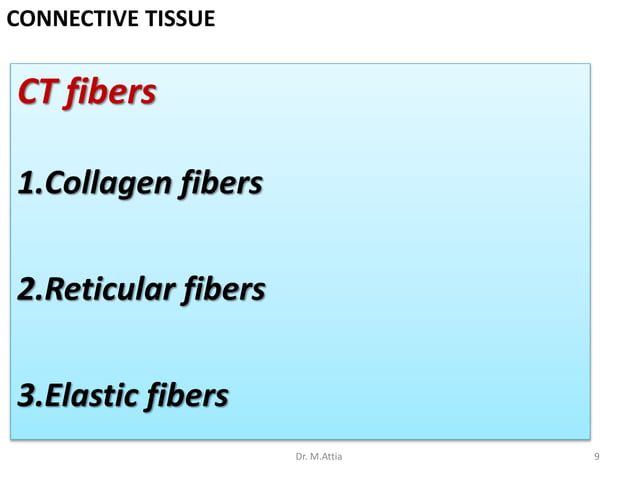 Connective Tissue Fixed Cells Histology | PPT