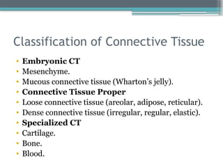 Connective_Tissue_Histology by Dr. Rumaisa PT | PPTX