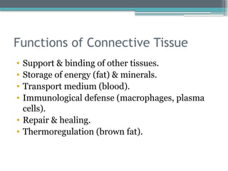 Connective_Tissue_Histology by Dr. Rumaisa PT | PPTX