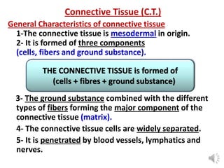 Connective Tissue histologyy lecture.pdf
