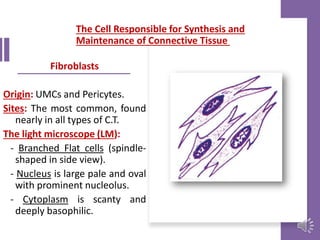 Connective Tissue histologyy lecture.pdf