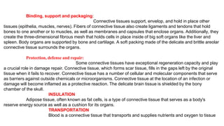Connective Tissue Module ssss-1.pptx