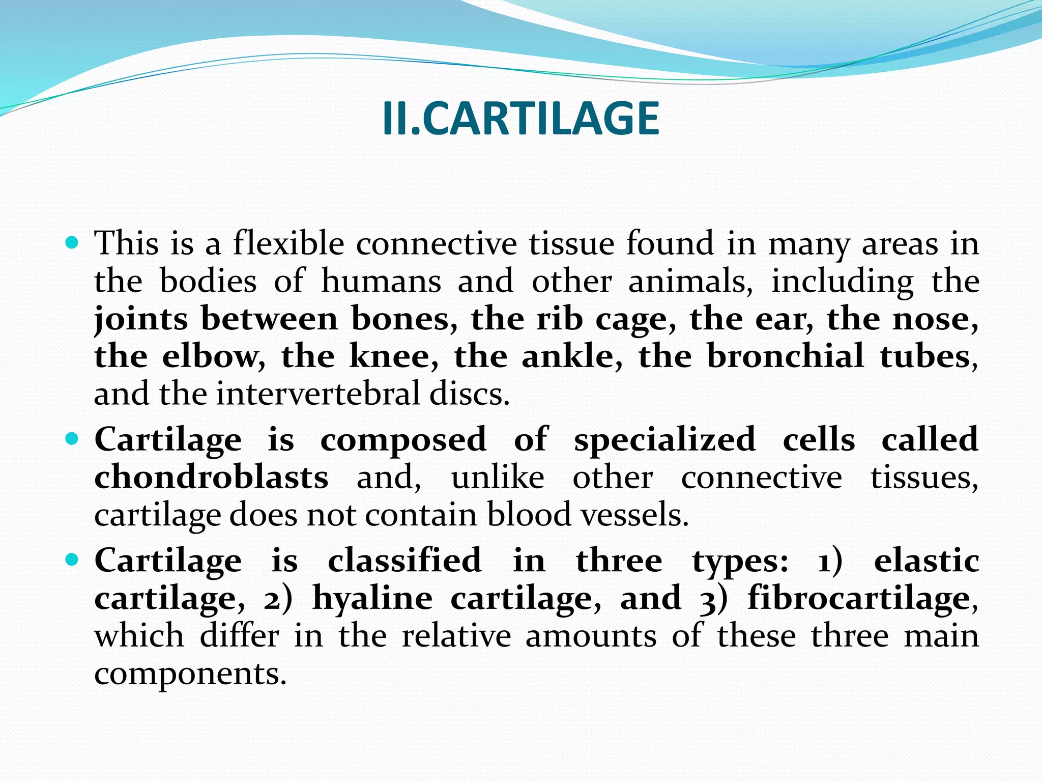 Connective tissue ppt | PPTX