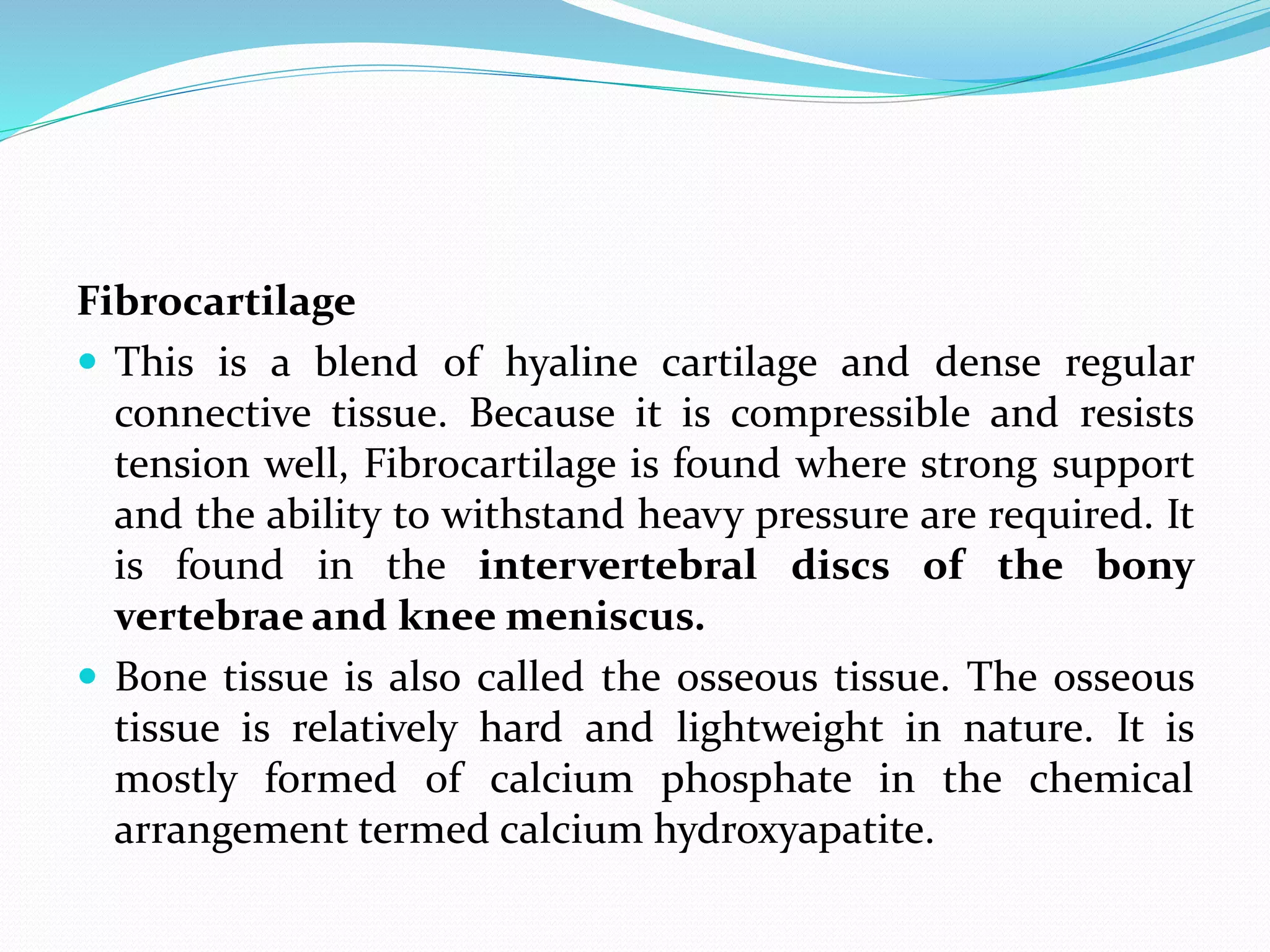Connective tissue ppt | PPTX