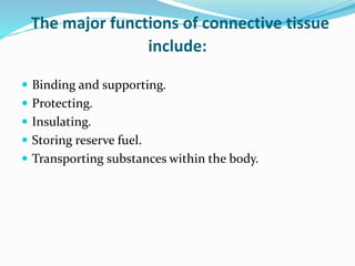 Connective tissue ppt | PPTX