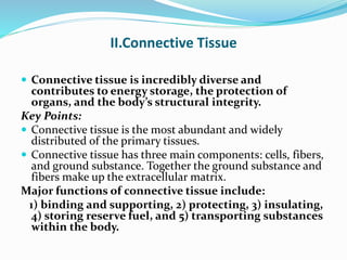 Classification Of Tissues Exercise 5