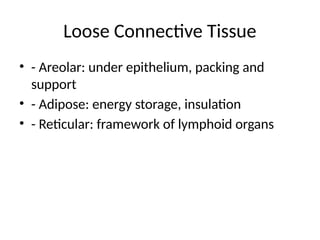 Connective_Tissue_Presentation12346.pptx