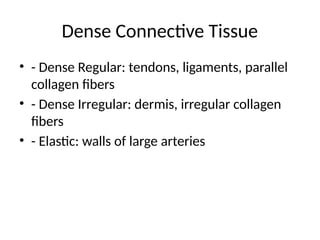 Connective_Tissue_Presentation12346.pptx