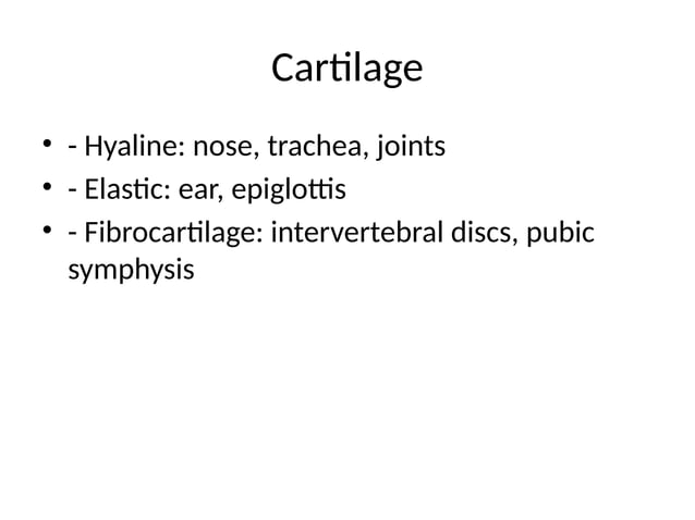Connective Tissue Presentation12346 Pptx