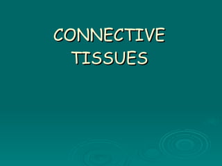 Connective tissue proper | PPT