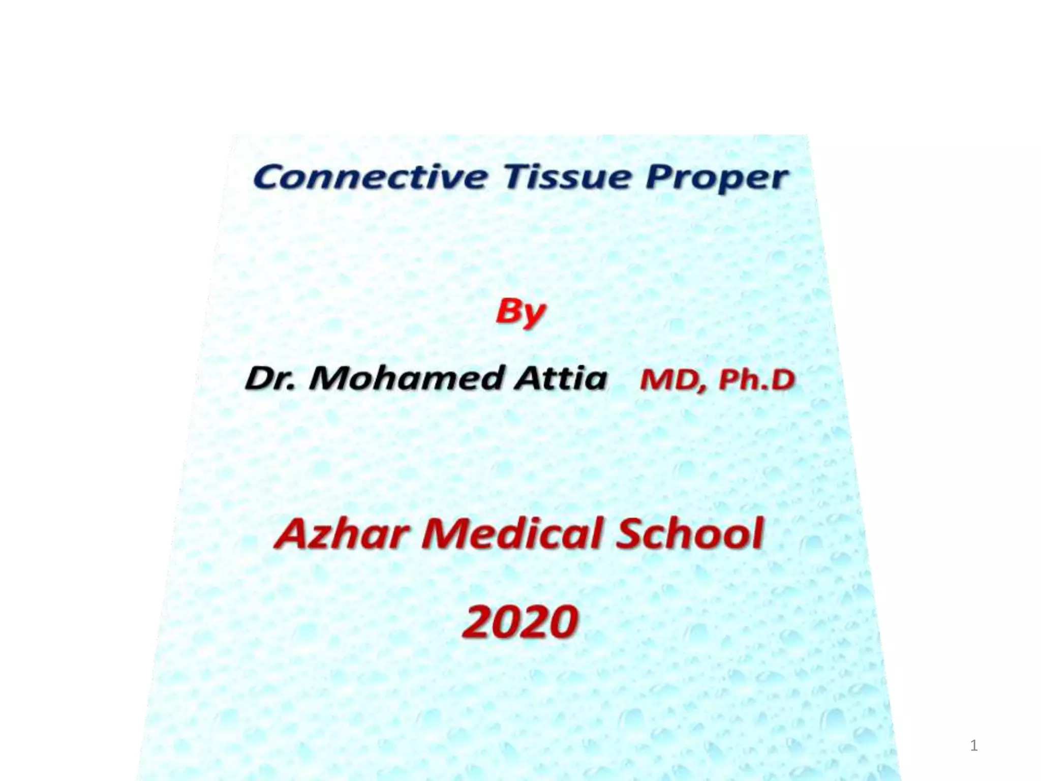 Connective Tissue Proper Histology | PPTX