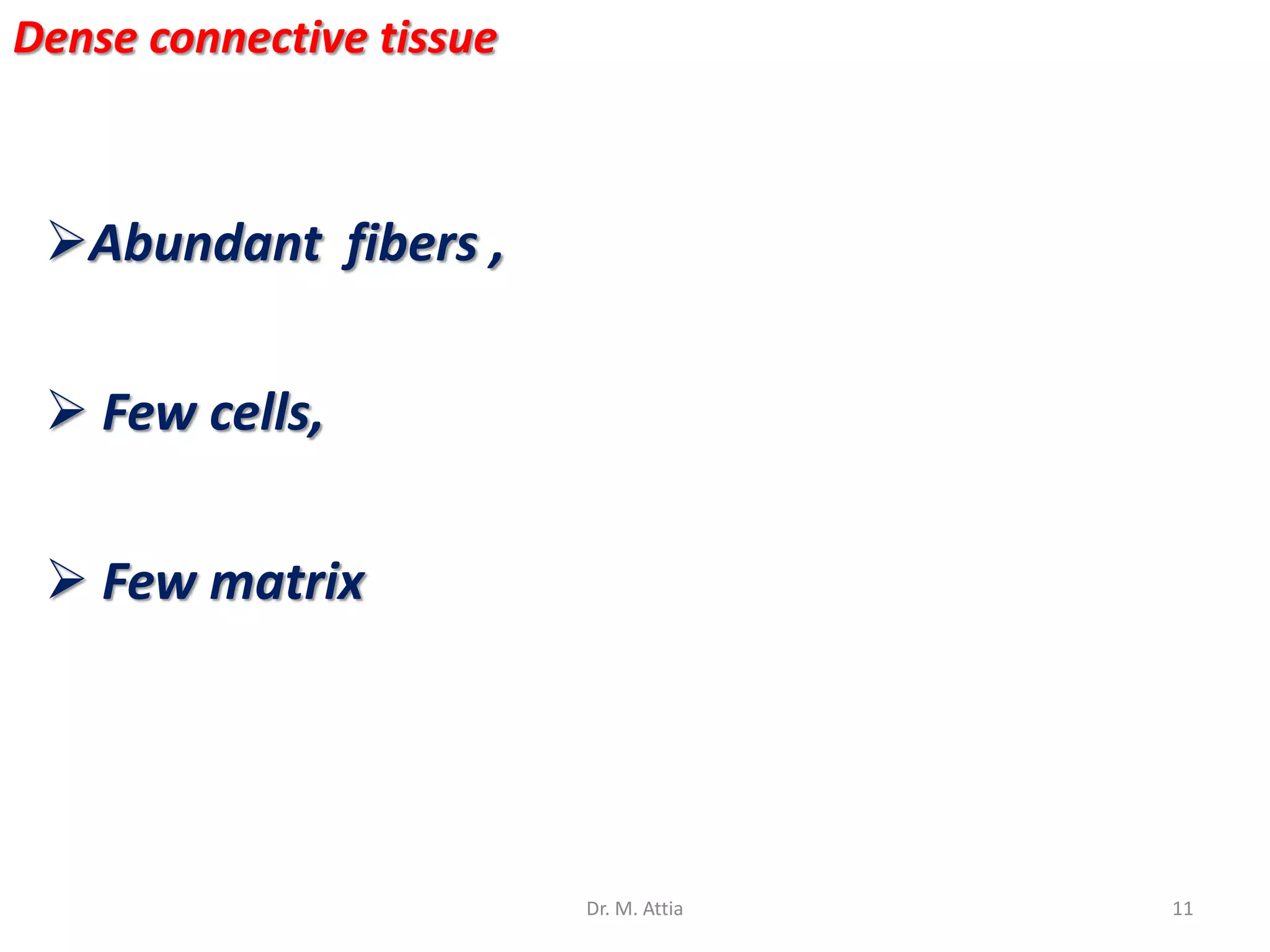 Connective Tissue Proper Histology | PPTX