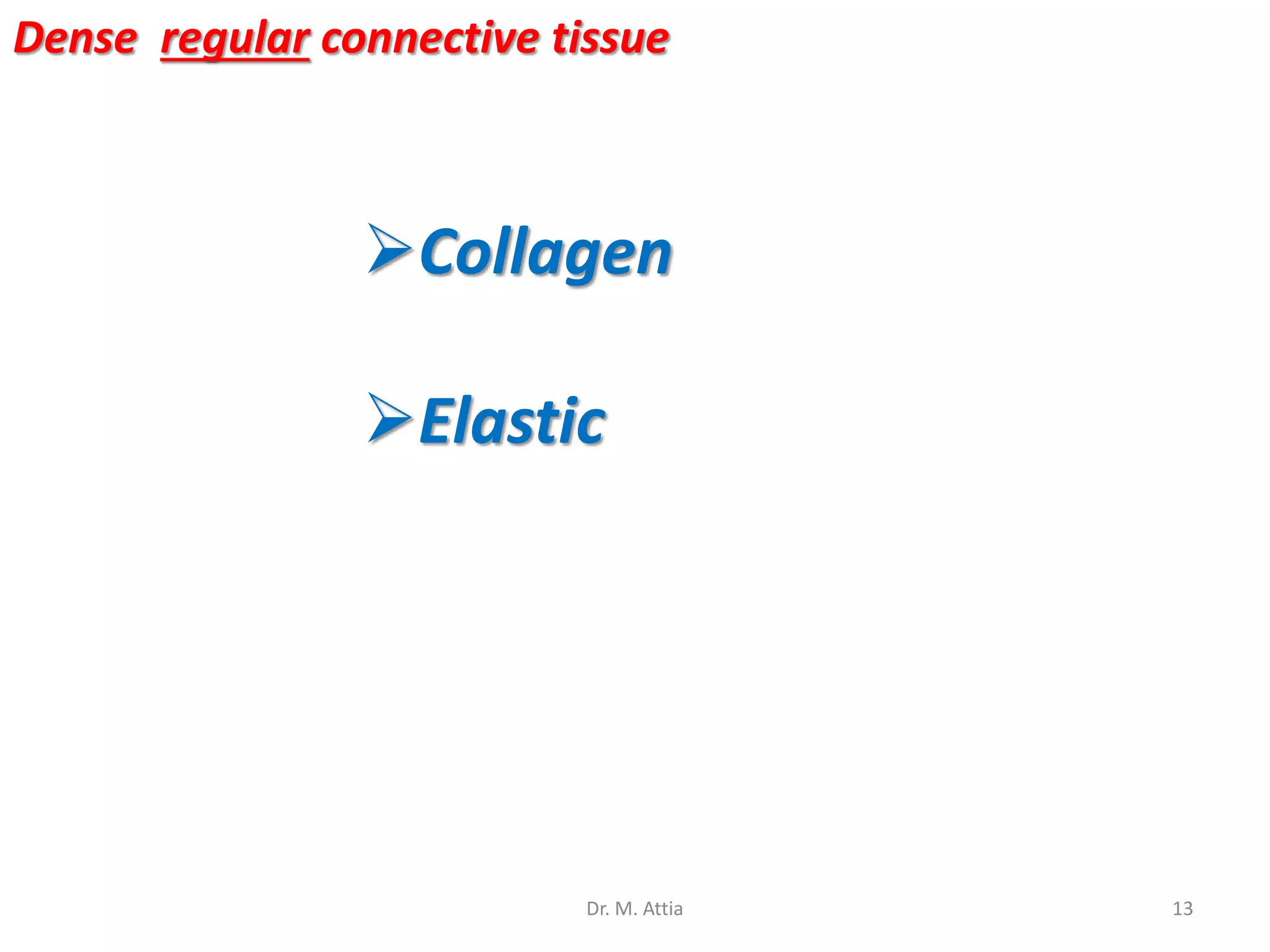 Connective Tissue Proper Histology | PPTX