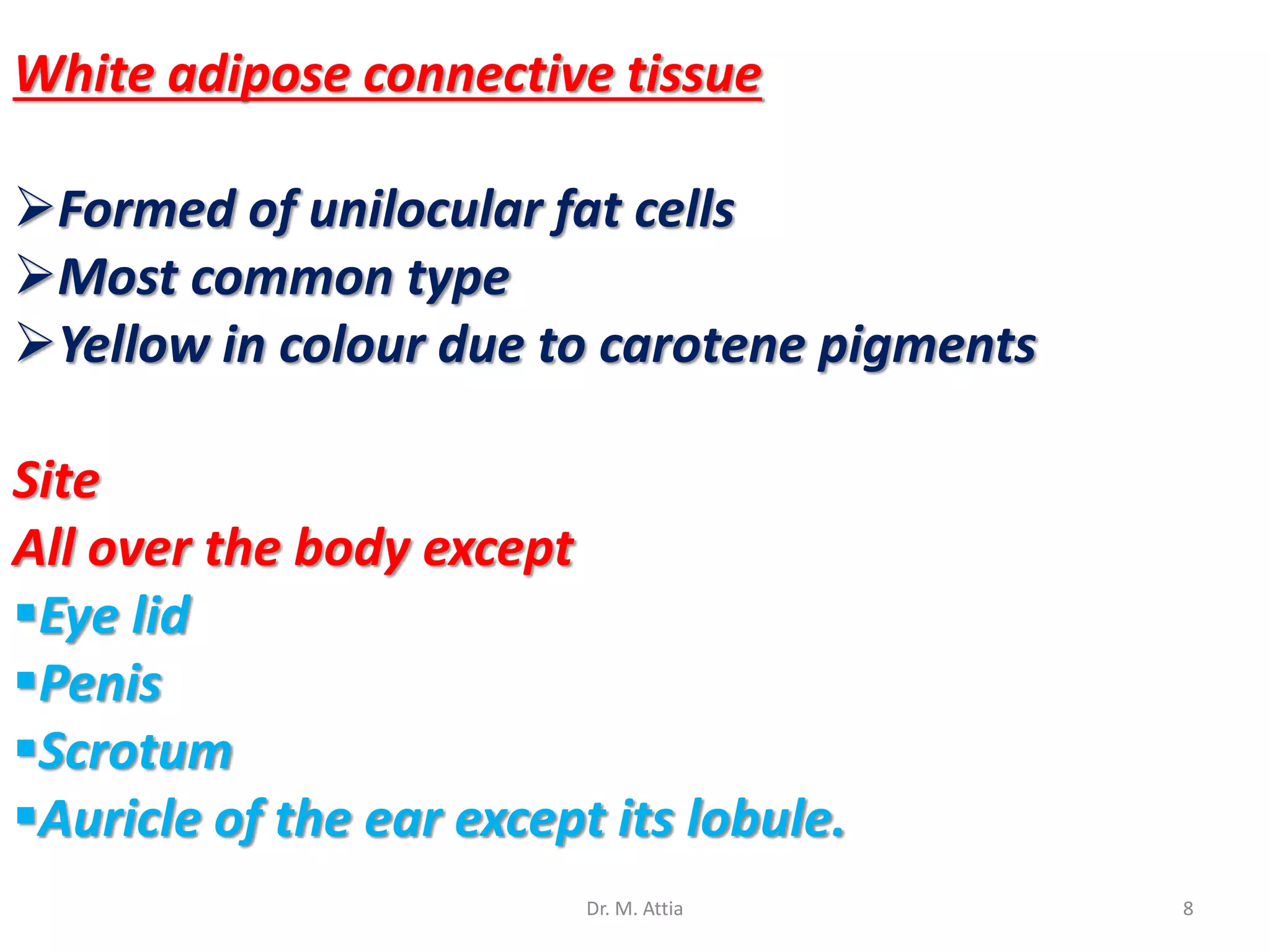Connective Tissue Proper Histology | PPTX