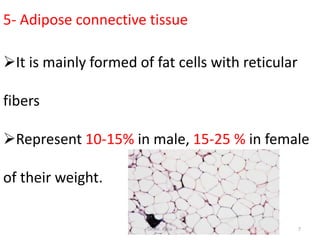 Connective Tissue Proper Histology | PPTX