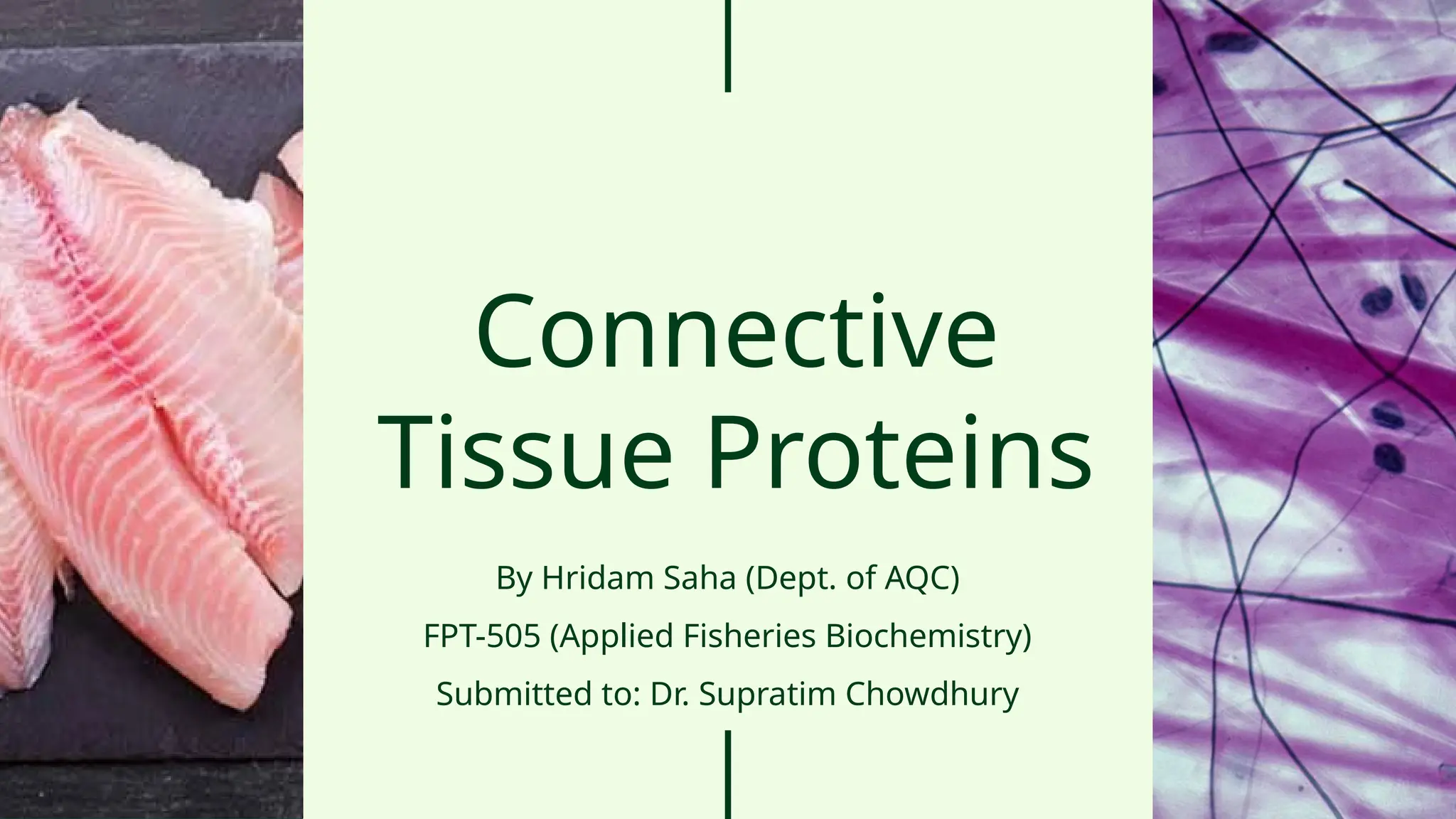 Connective tissue protein by Hridam Saha.pptx