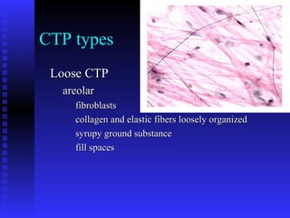 Connective tissues | PPT