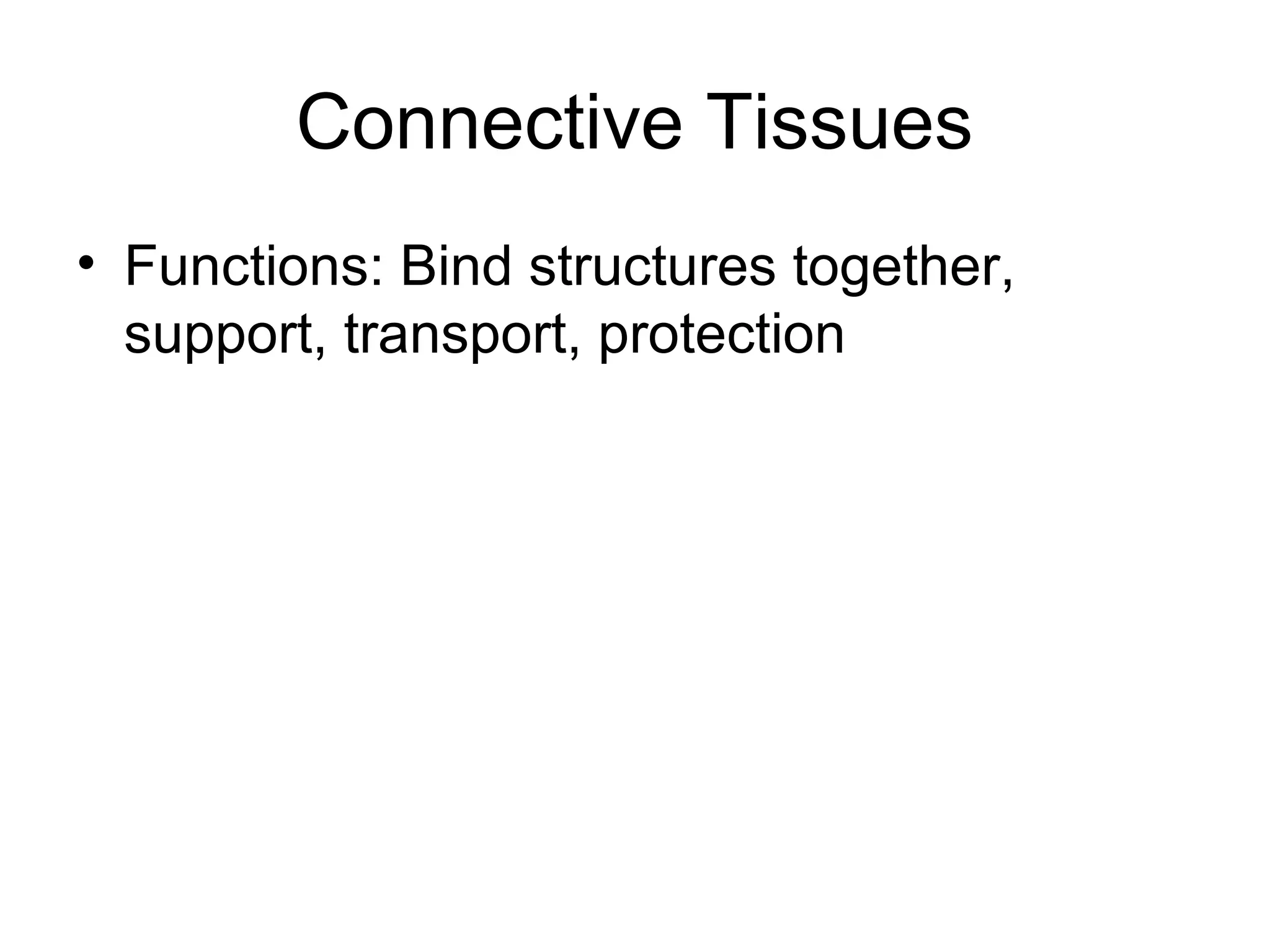 Connective tissues | PPT