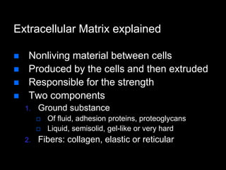 Connective tissues | PPTX