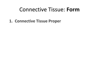 Connective tissues | PPT