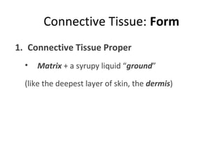 Connective tissues | PPT