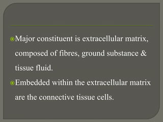 Connective tissues | PDF