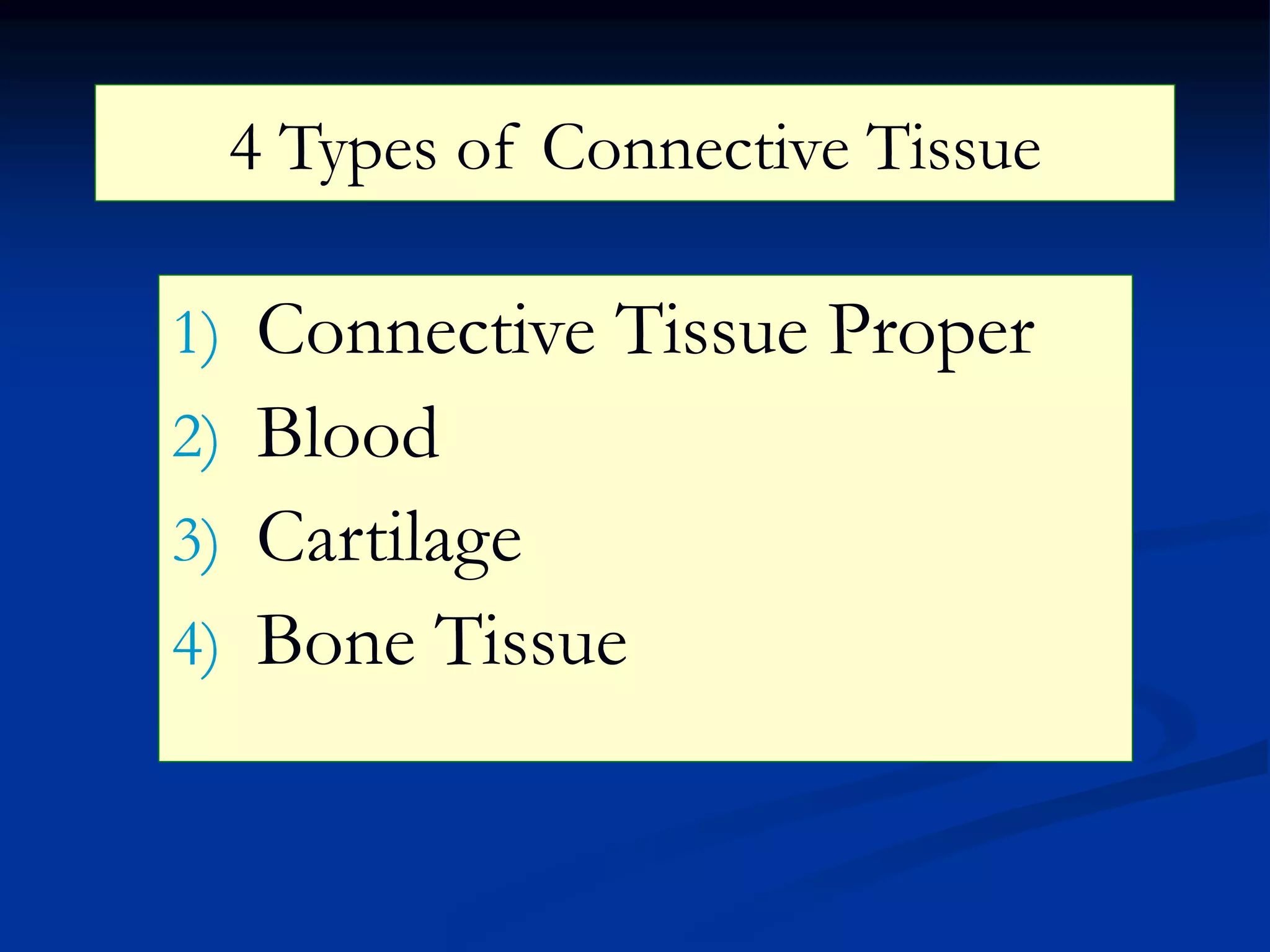 Connective Tissues.pptx